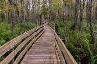 Beautiful Bittersweet Life Poems – Exploring the world of life and ...