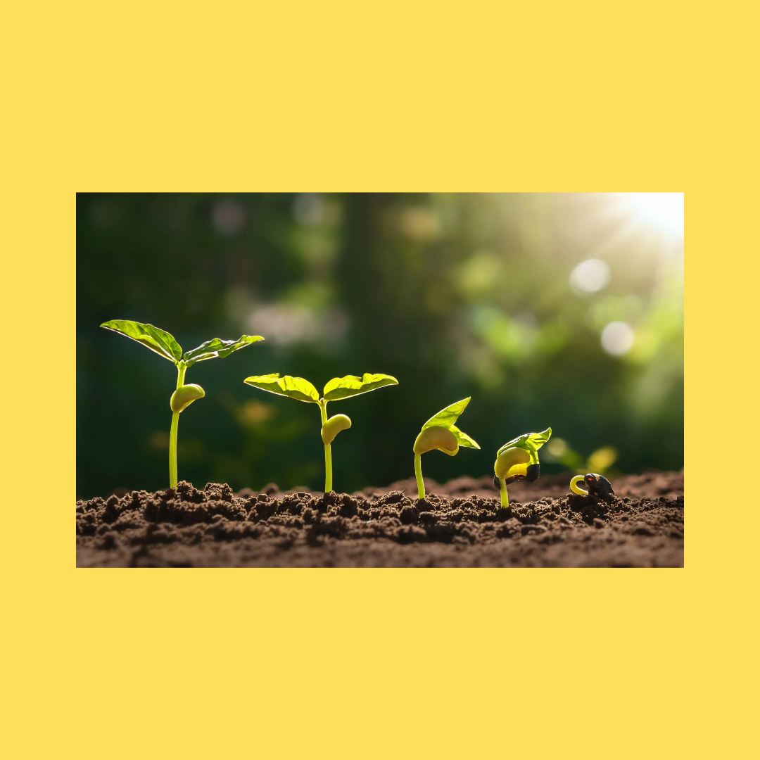 To Bloom Again – Beautiful Bittersweet Life Poems